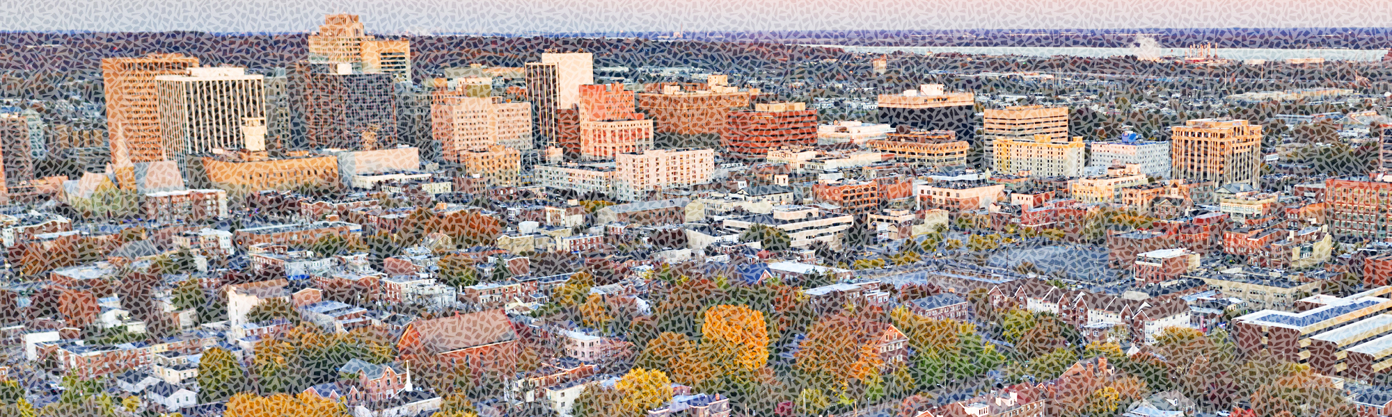 Delaware - QPS Custom-Built Research Services