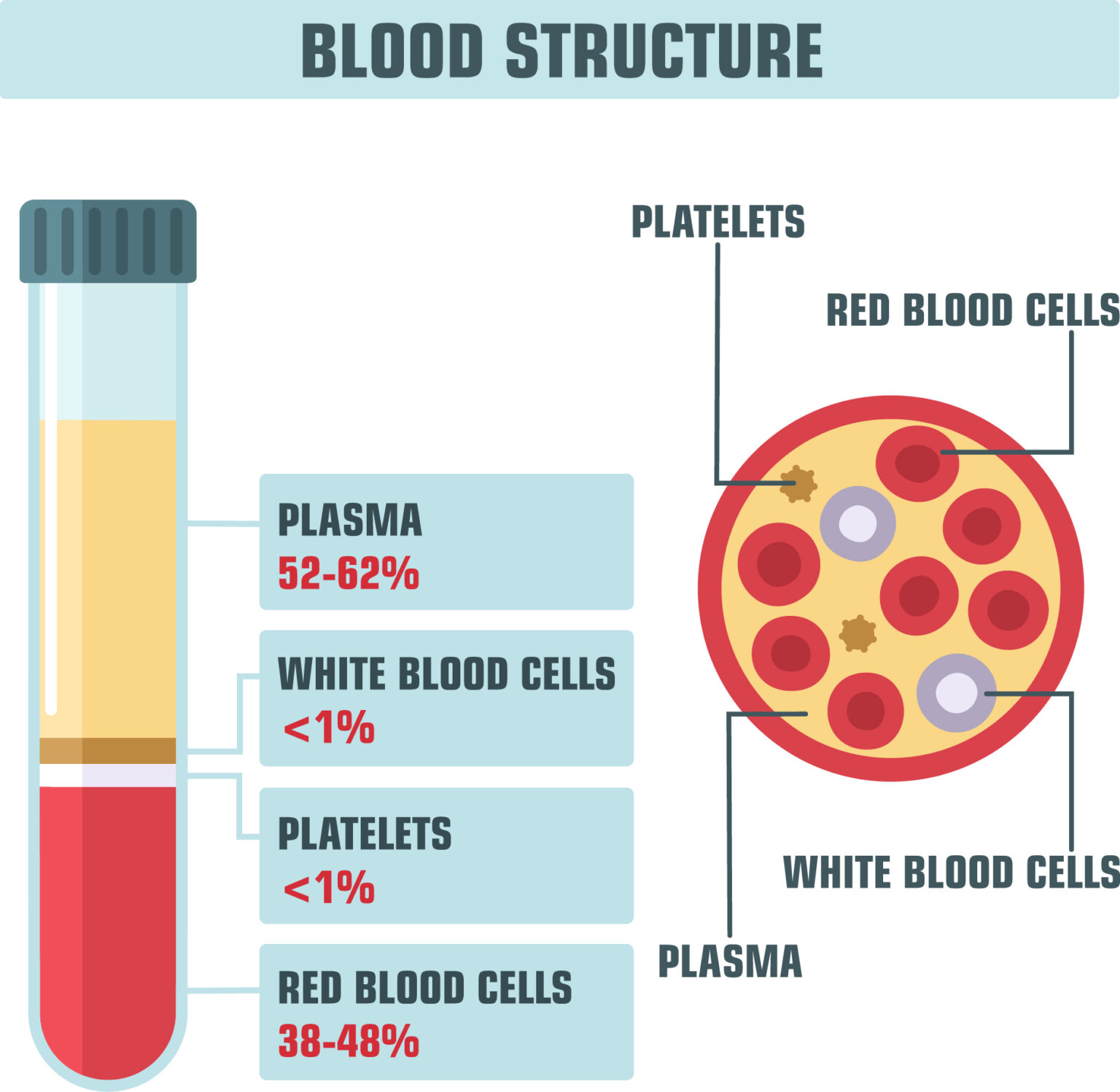 Peripheral Blood Mononuclear Cells (PBMCs) - QPS