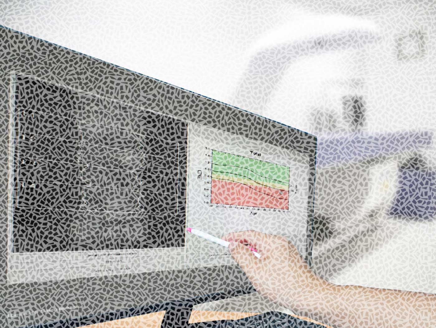 DEXA Scanning Services QPS: Custom-Built Research